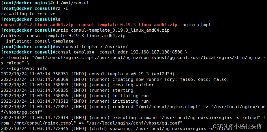 Consul（注册中心）部署_consul部署-CSDN博客