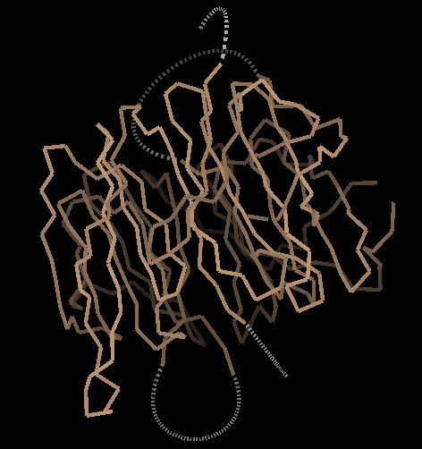 Coot Cryo-EM教程2：Fitting和Mutating_coot中拉试图的解读-CSDN博客