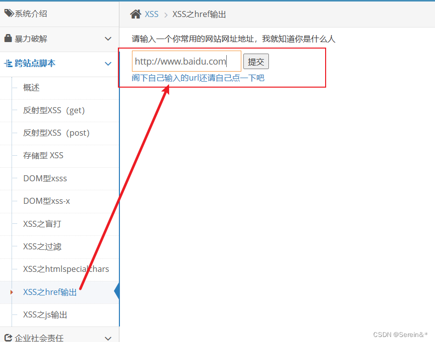 XSS平台偷取cookie使用+XSS漏洞-CSDN博客