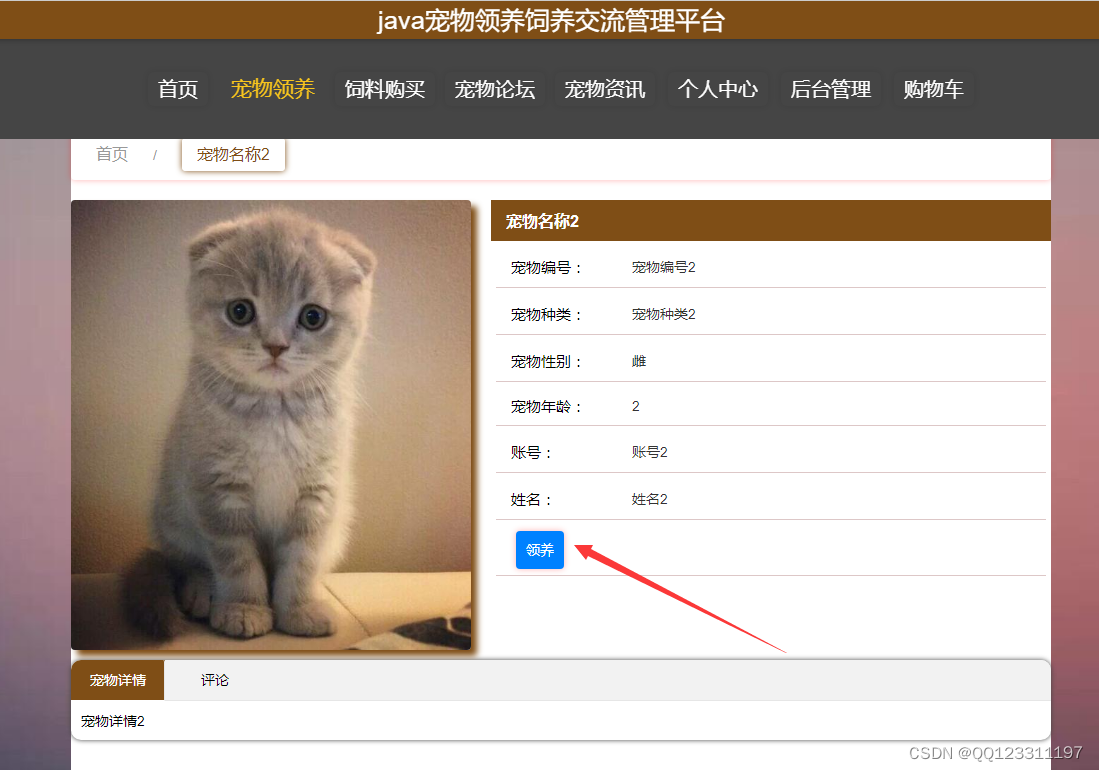 Java基于springbootvue的宠物领养饲养交流管理平台nodejs前后分离基于springboot和vue的宠物喂养咨讯分享平台的设计建立的表哥 Csdn博客