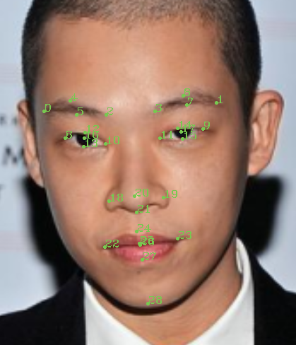 COFW数据集介绍以及代码读取-CSDN博客