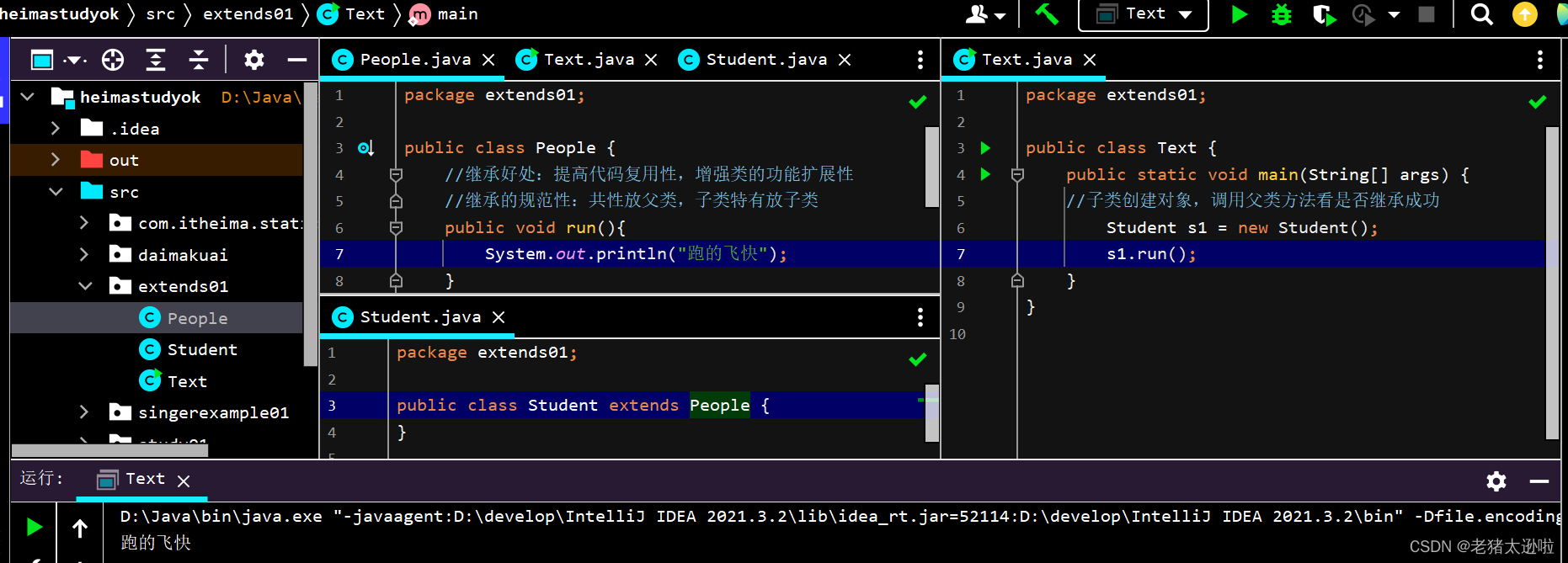 继承 Extends Csdn博客