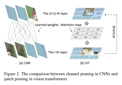 （Patch Slimming for Efﬁcient Vision Transformers）论文总结_patch在transformer中的效果-CSDN博客