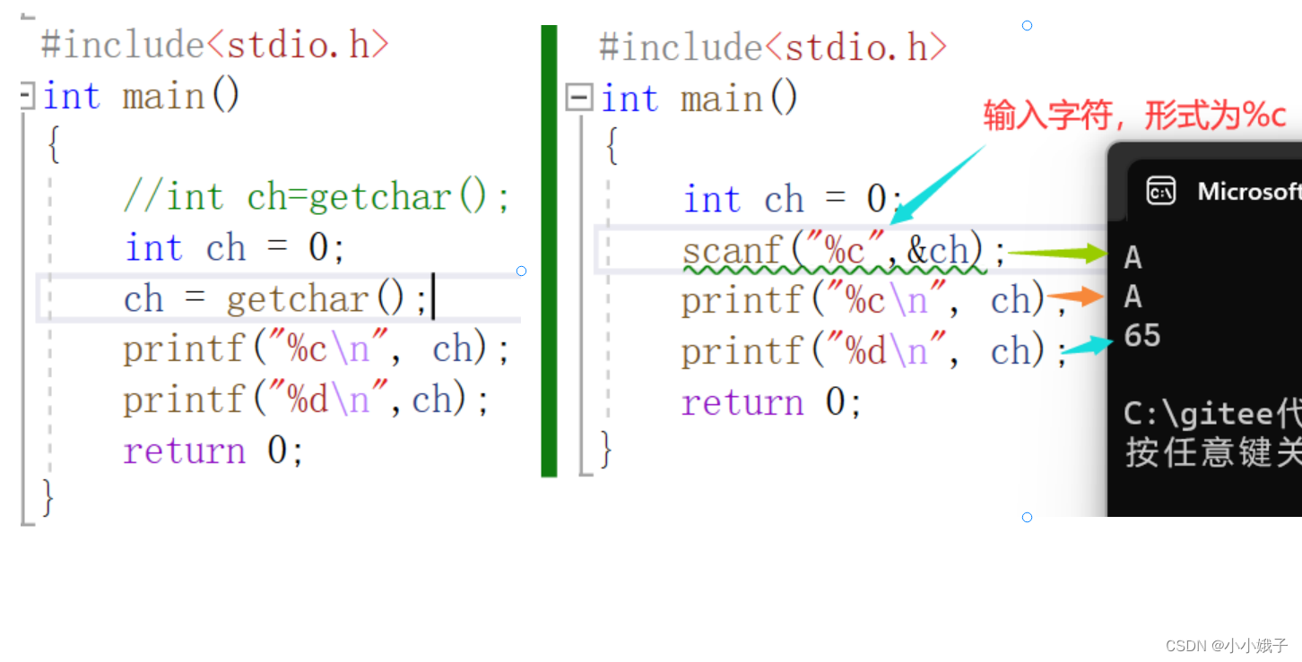【初阶C语言】学会使用库函数getchar和putchar-CSDN博客