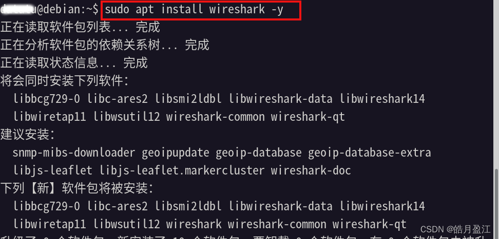 Linux Debian11安装Wireshark教程_linxu wireshark 安装客户端-CSDN博客
