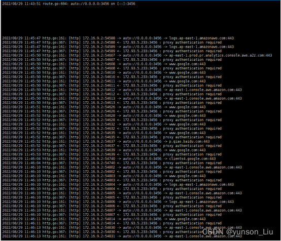 ubuntu20.04部署gost服务_ubantu 安装 gost-CSDN博客
