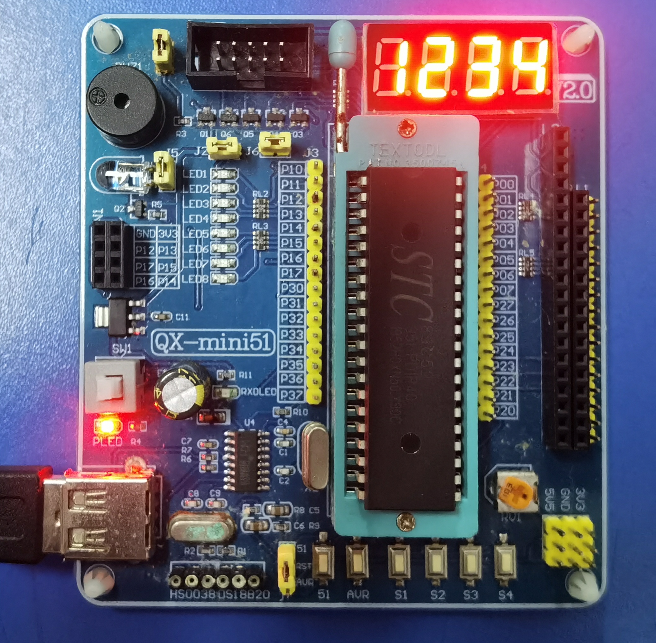 89C52数码管显示（有手就行版本）-CSDN博客