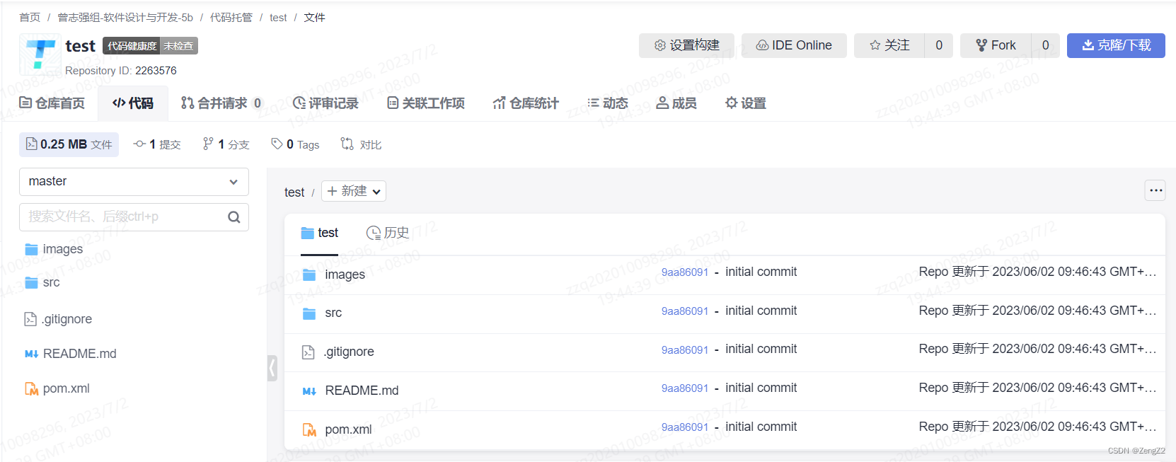 如何使用CodeArts，以及使用Idea创建项目并连接-CSDN博客