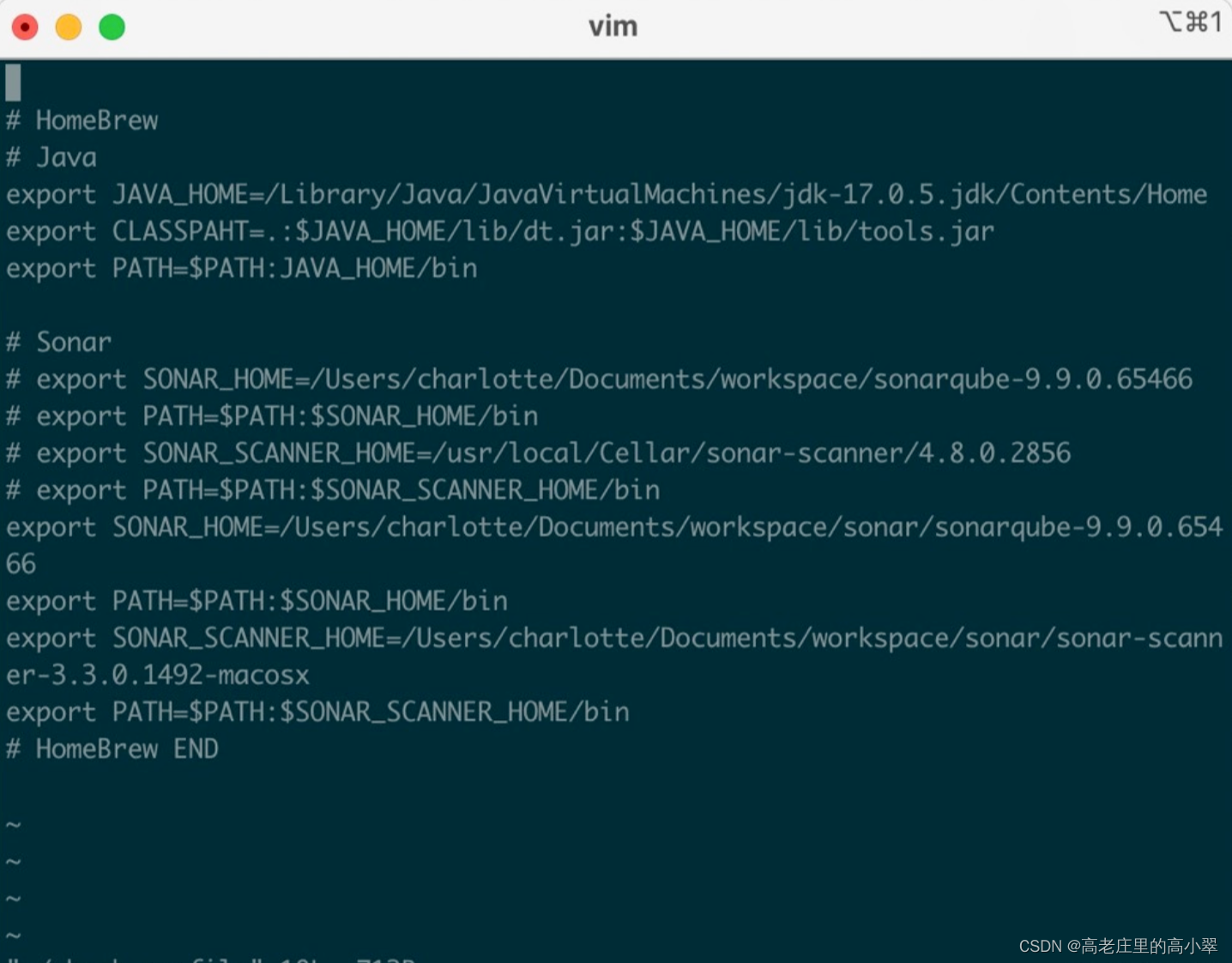 【mac版】sonar代码检测--环境搭建以及安装_mac sonarqube配置-CSDN博客