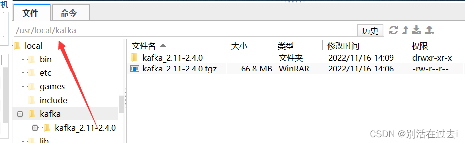虚拟机安装zookeeper和kafka_虚拟机kafka2.11的起动-CSDN博客