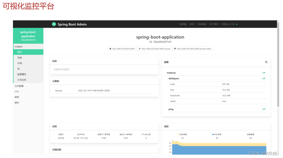 Springboot开发实用篇4—监控 Csdn博客 
