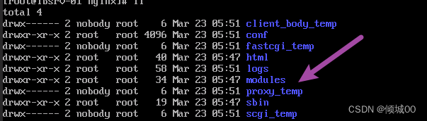 Linux安装Nginx 有网环境和没网环境_nginx不联网能用吗-CSDN博客