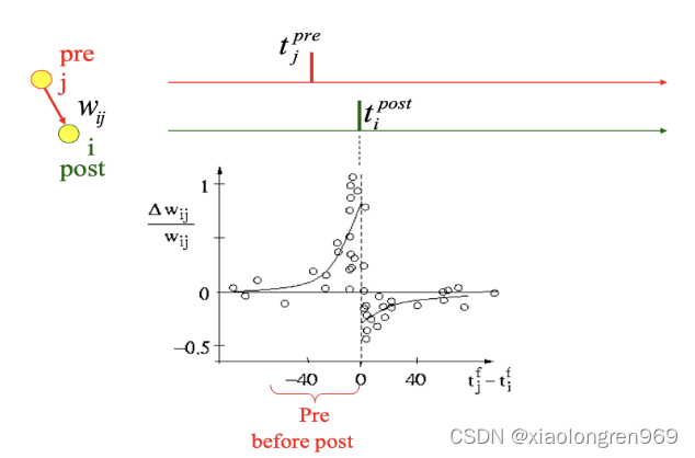 Spike Timing Dependent Plasticity（STDP）-CSDN博客