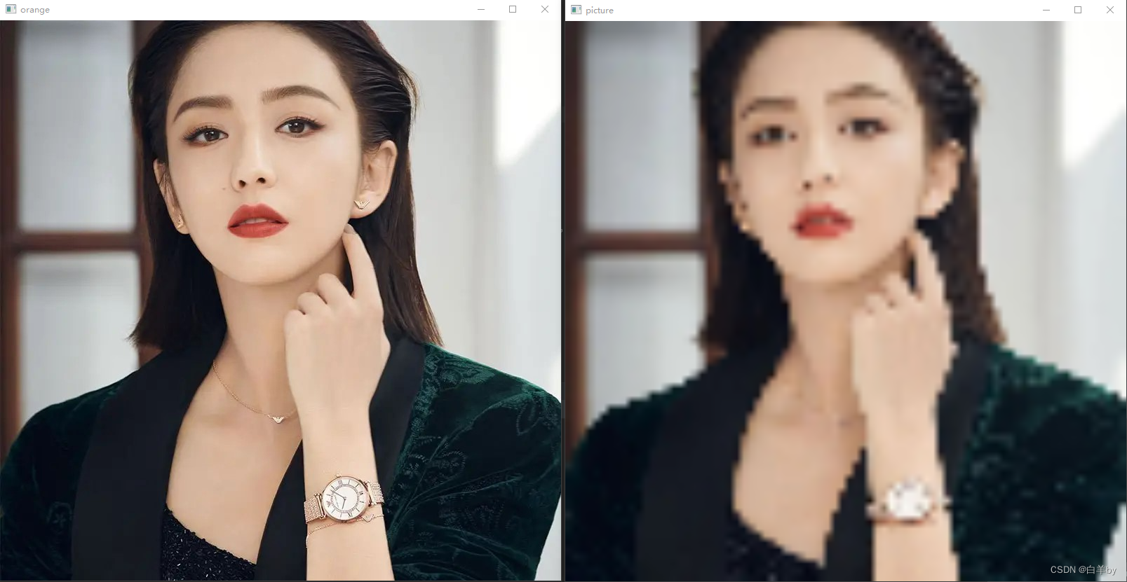 4python Opencv图像马赛克opencv给图像均值打码python Csdn博客