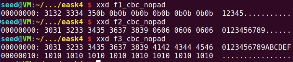 Secret Key Encryption Lab网安实验 Csdn博客 