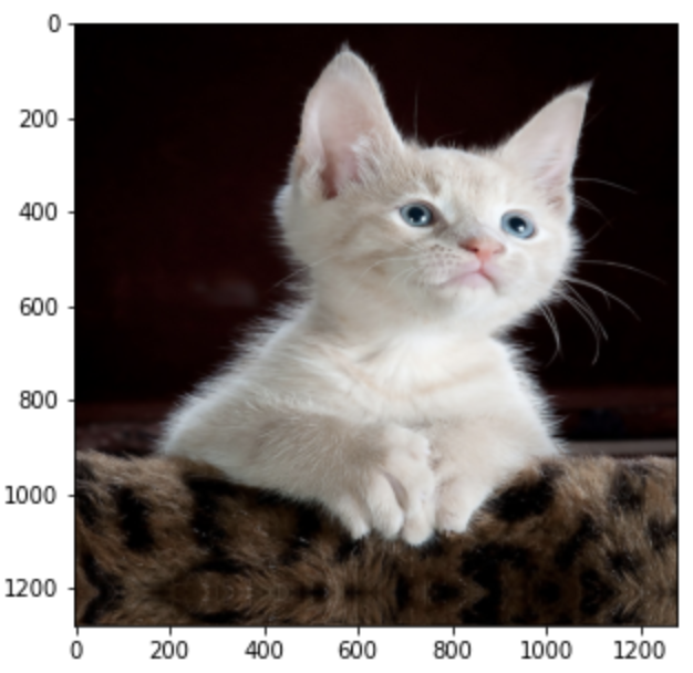 albumentations.HorizontalFlip、Rotate、RandomBrightnessContrast ...