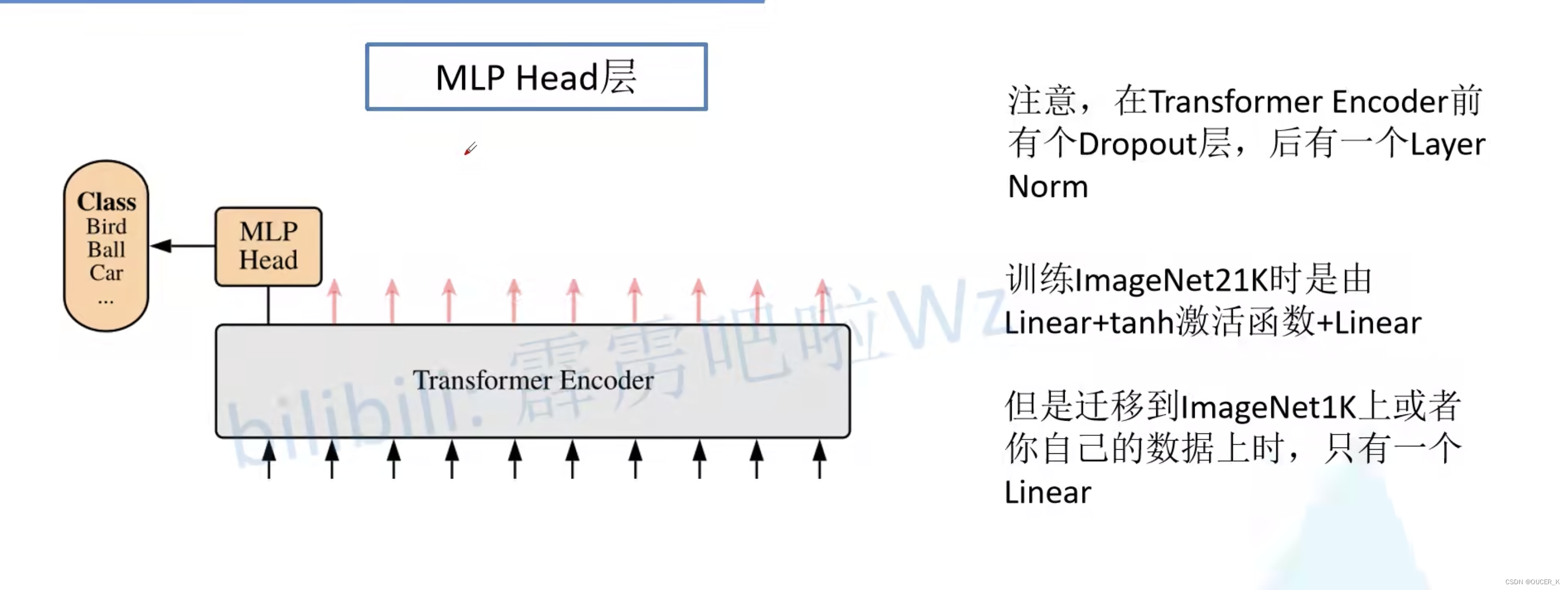 深度学习第六周培训_linear projection of flattened patches-CSDN博客