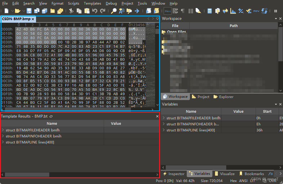 解析BMP格式图片_010editor中显示图片结构-CSDN博客