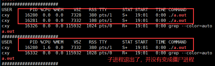 【Linux入门】：进程控制_linux unistd.h实现在哪里-CSDN博客