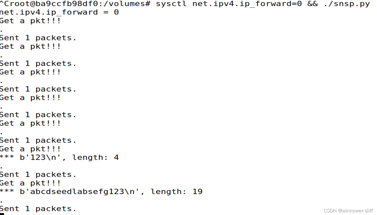 ICMP Redirect Attack Lab（SEED实验）-CSDN博客