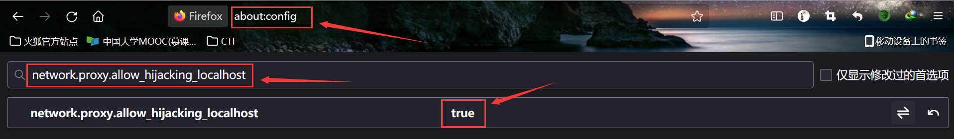 设置burpsuite抓取localhost、127.0.0.1数据,解决无法抓取拦截本机数据包_chrome 抓不到127.0.0.1-CSDN博客