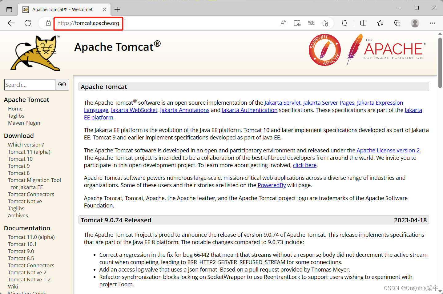 Apache Tomcat 官网下载（保姆级教程）_apache tomcat下载-CSDN博客