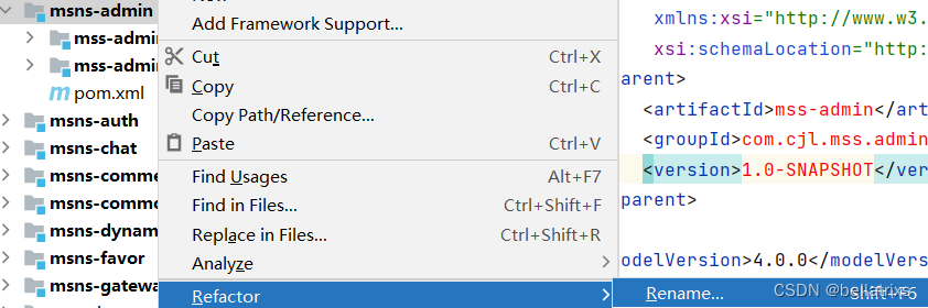 SpringCloud项目重命名详细教程_项目模块改名-CSDN博客