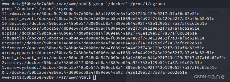 HackTheBox系列-MonitorsTwo-CSDN博客