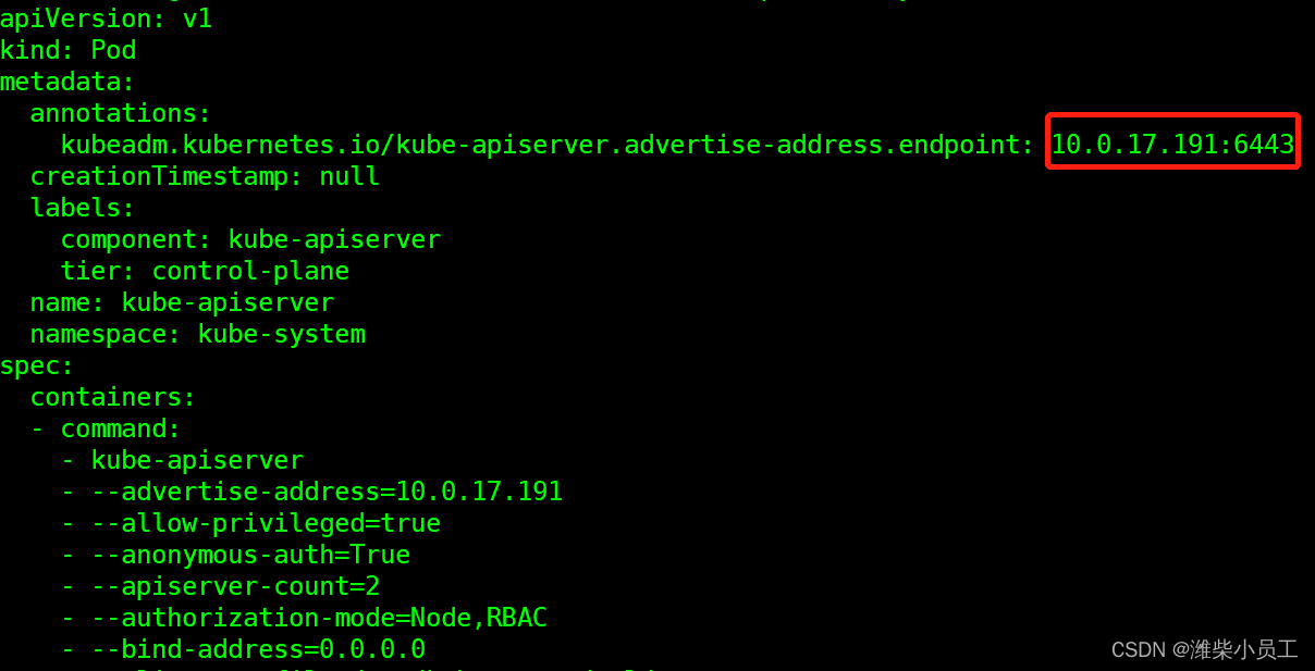 在kubernetes(k8s)集群内查看master节点api-server地址信息及服务证书key_kubernetes怎么查是 ...