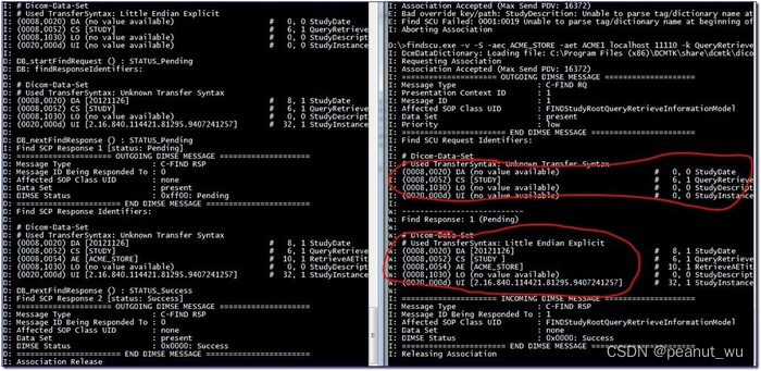 DCMTK模拟PACS：Debugging with DCMTK-CSDN博客
