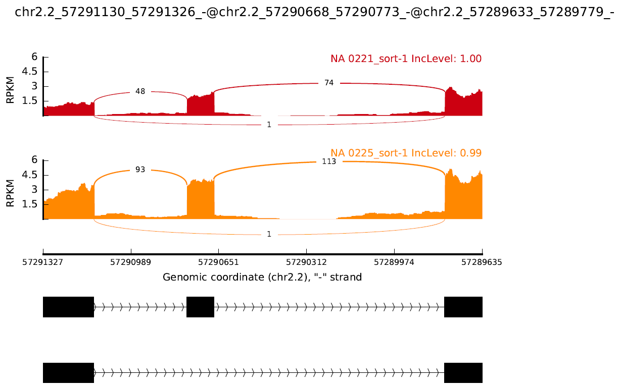 可变剪接分析流程（rMATS）-CSDN博客