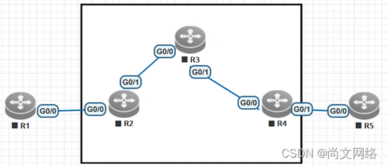 锐捷MPLS 网络配置实例 ---尚文网络奎哥_no bgp default ipv4-unicast-CSDN博客