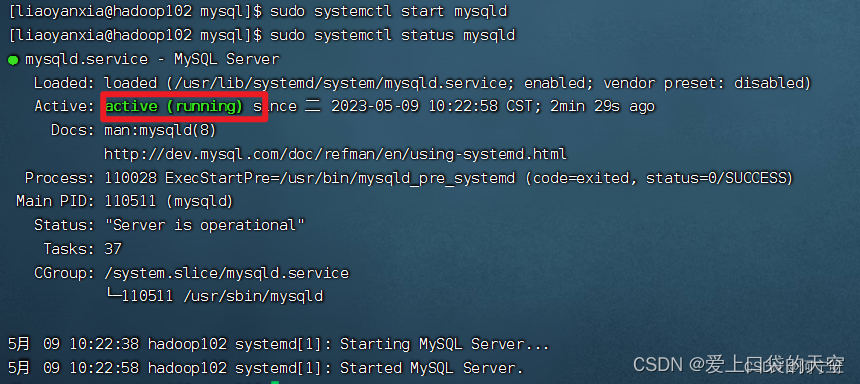 03-Linux下安装MySQL8.0.33_mysql-community-server-8.0.33-CSDN博客