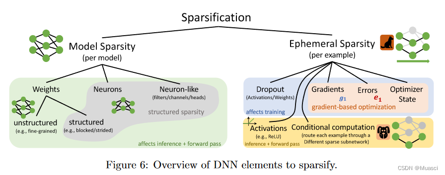 [文献阅读] Sparsity in Deep Learning: Pruning and growth for efficient ...