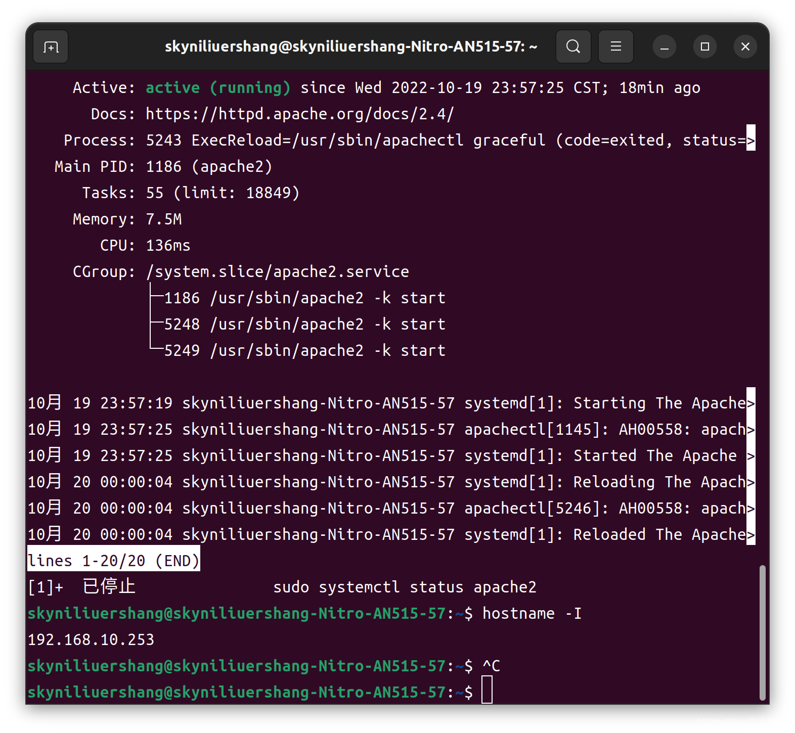 linux(ubuntu)搭建web服务器_ubuntu html服务器-CSDN博客