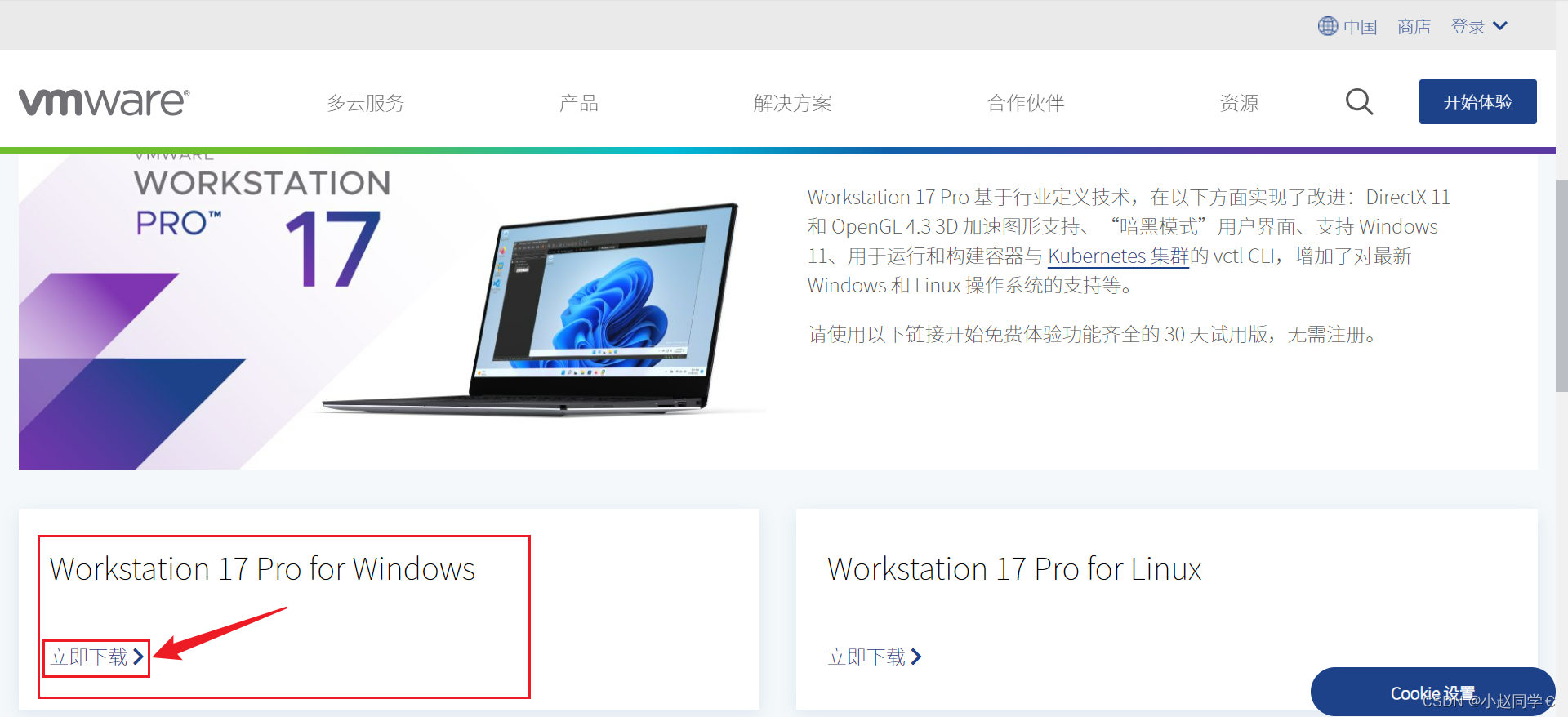 Vmware 17虚拟机安装教程_vmware17许可证-CSDN博客