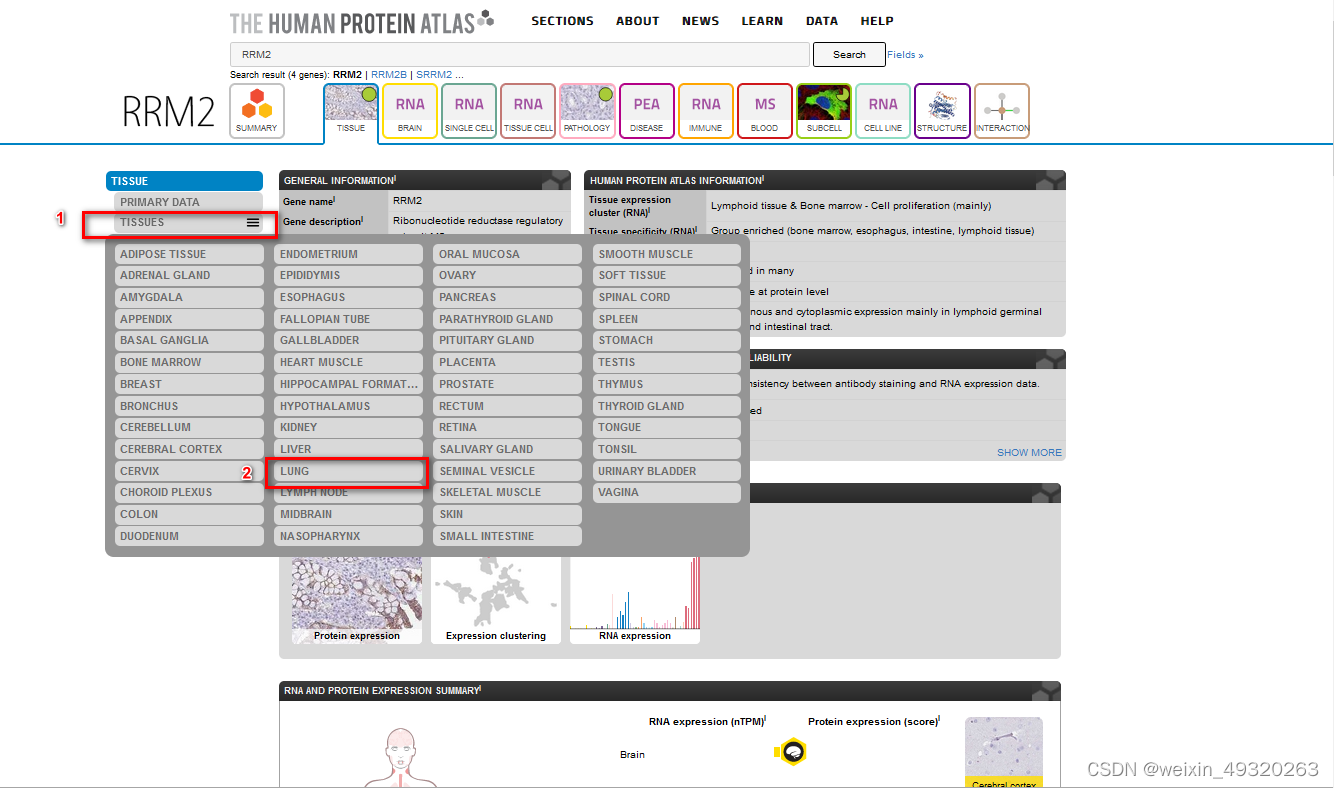 HPA数据库的使用（1）-CSDN博客