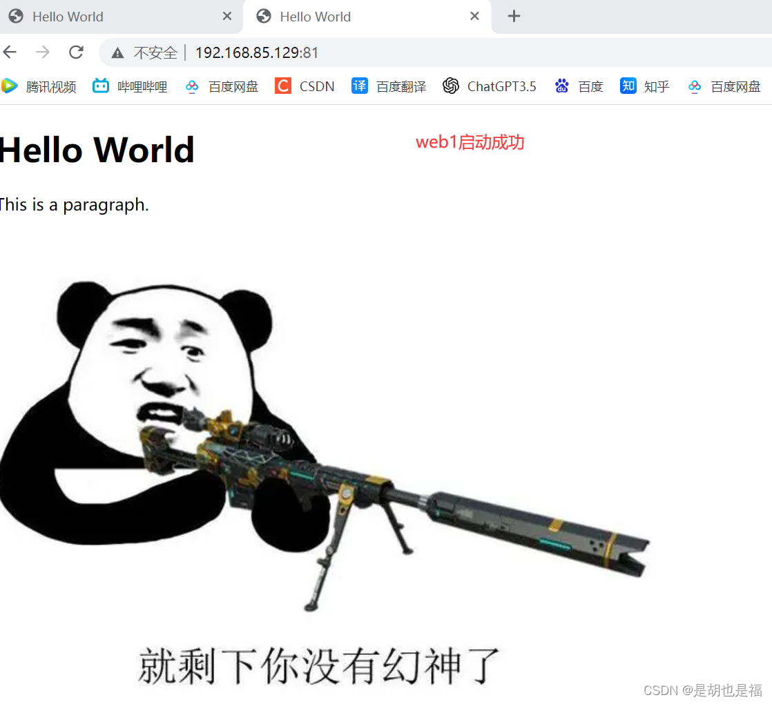 Nginx 负载均衡（例子：1个nginx代理服务器2个web服务器）nginx负载两台服务器的前端页面 Csdn博客