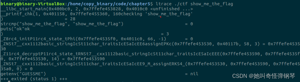 【5】ctf二进制分析实例payload二进制基础工具介绍objdump Etcctfstrings、strace使用教程 Csdn博客