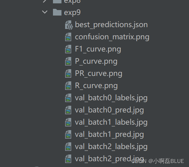 YOLO v5调用coco API 评估数据集结果_yolov5在coco数据集上的map-CSDN博客