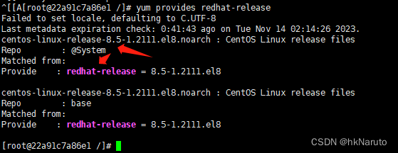 openeuler aarch64 20.03 安装epel-release_openeuler epel-release-CSDN博客