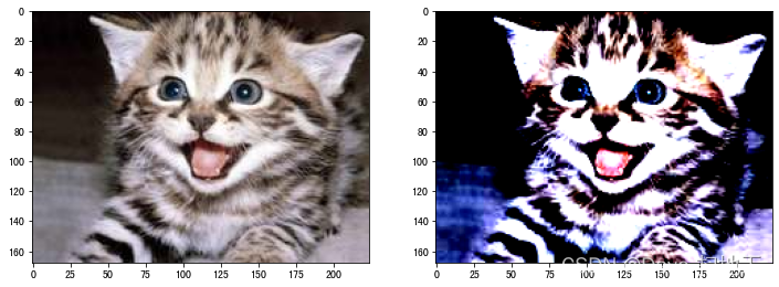 Albumentations 中的像素级图像增强可视化_albumentations colorjitter-CSDN博客