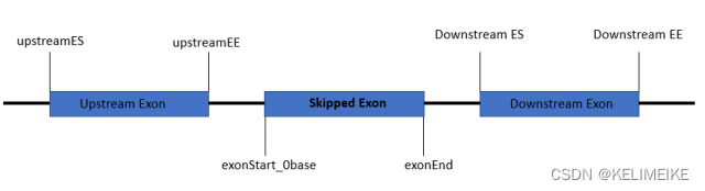 Linux环境：可变剪切分析软件rMATS安装、使用与解读-CSDN博客