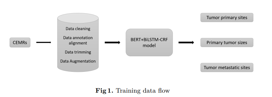 CCKS2020 任务三：面向中文电子病历的医疗实体及事件抽取_中文医疗事件图谱查询-CSDN博客