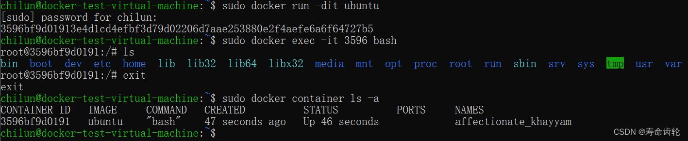 Docker管理、进入、导入导出容器操作(命令讲解代码举例)docker 进入 退出 导出 导入命令 Csdn博客