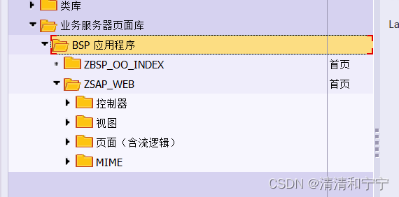 SAP BSP网页端开发-CSDN博客