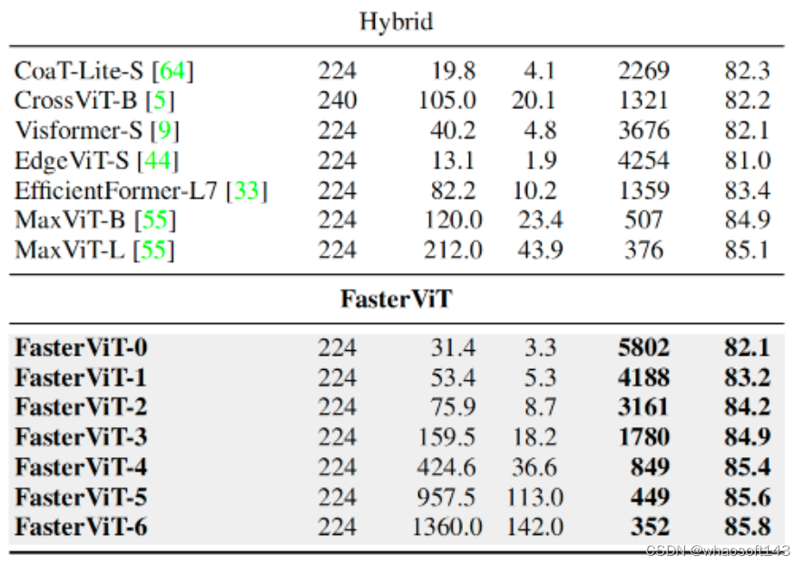 FasterViT-CSDN博客