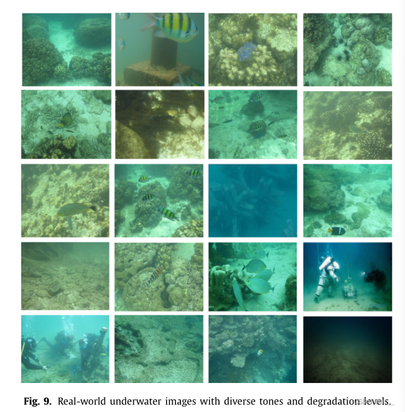 Underwater scene prior inspired deep underwater image and video ...