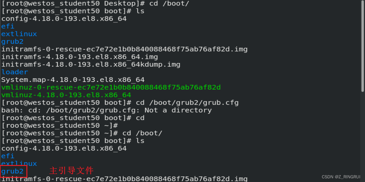 Linux系统引导过程及引导修复_grub2-install-CSDN博客