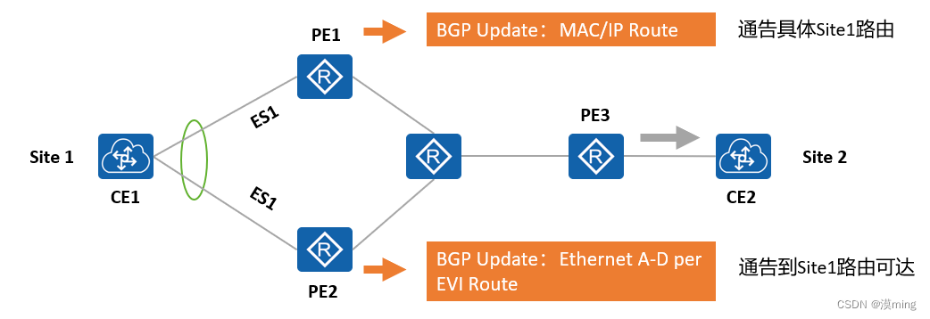 【EPVN】EVPN路由详解-CSDN博客